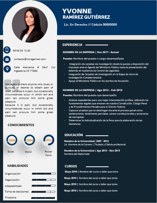 Curriculum Personalizado Plantilla De Currículum Vitae De Un